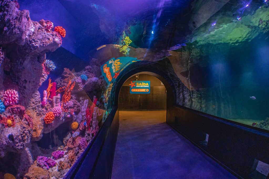Oceanic Aquarium - Foto divulgação - Hotel Rosenbrock